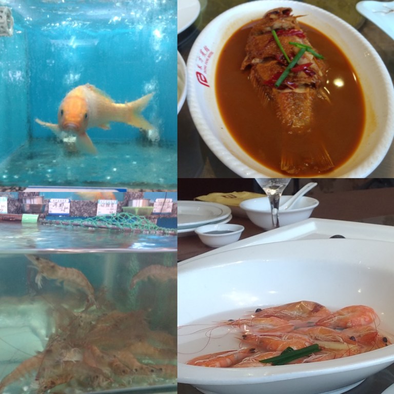 10 Tips on Eating in China: A guide to Chinese Table Manners and Dining ...