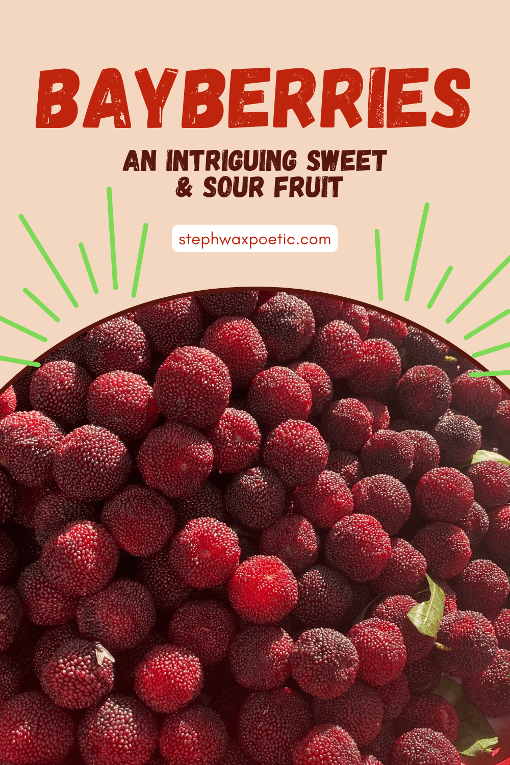 Bayberries (杨梅): An Intriguing Sweet and Sour Fruit – Stephwaxpoetic